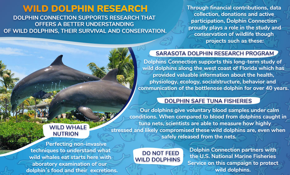 EducationalCurriculum