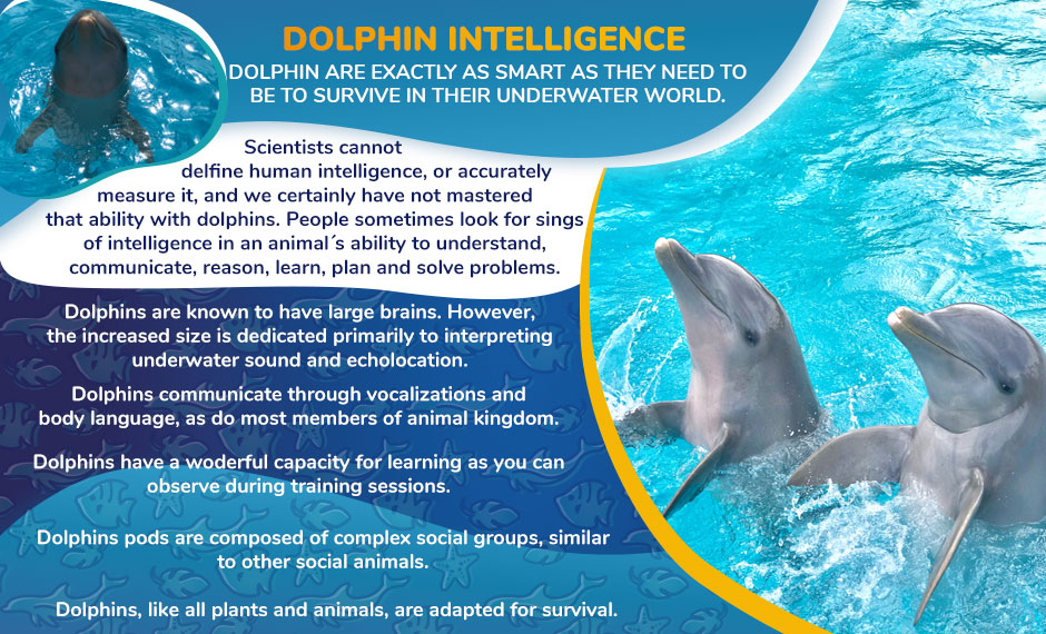 EducationalCurriculum