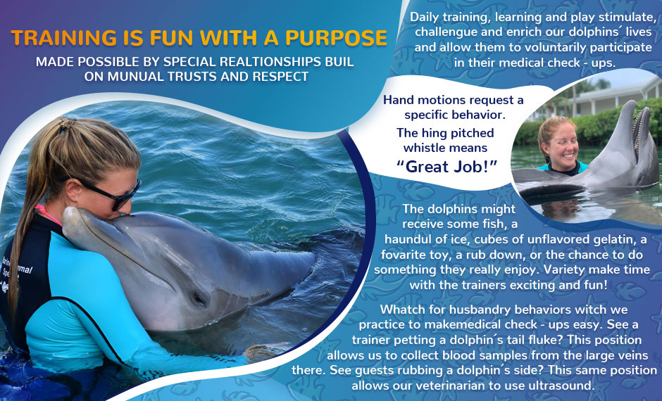 EducationalCurriculum