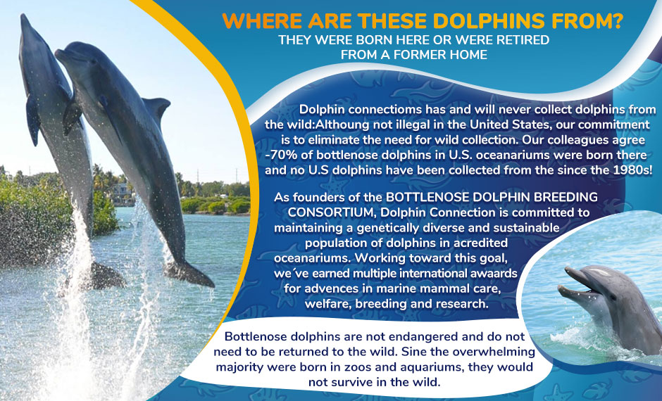 EducationalCurriculum