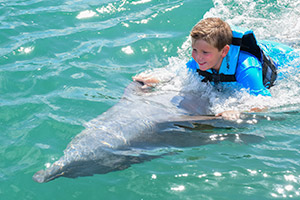 Live a Dolphin Encounter in Florida Keys | Dolphin Connection