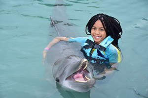 Live a Dolphin Encounter in Florida Keys | Dolphin Connection